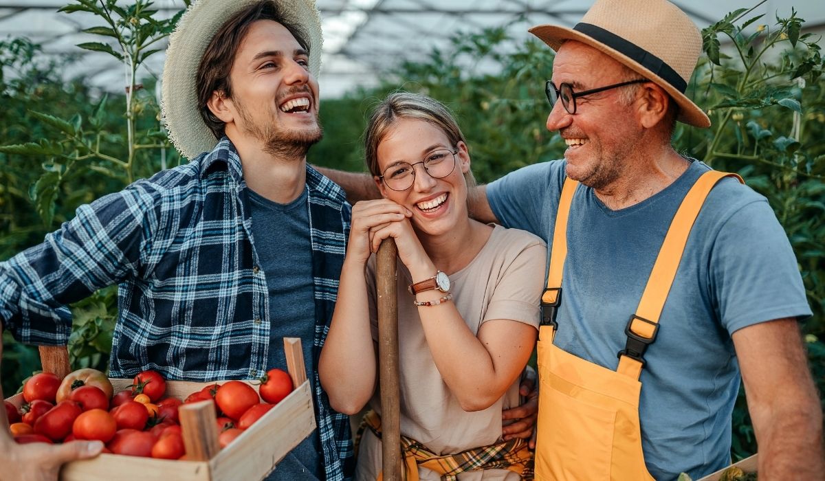 TPD Claims - Withstand Lawyers